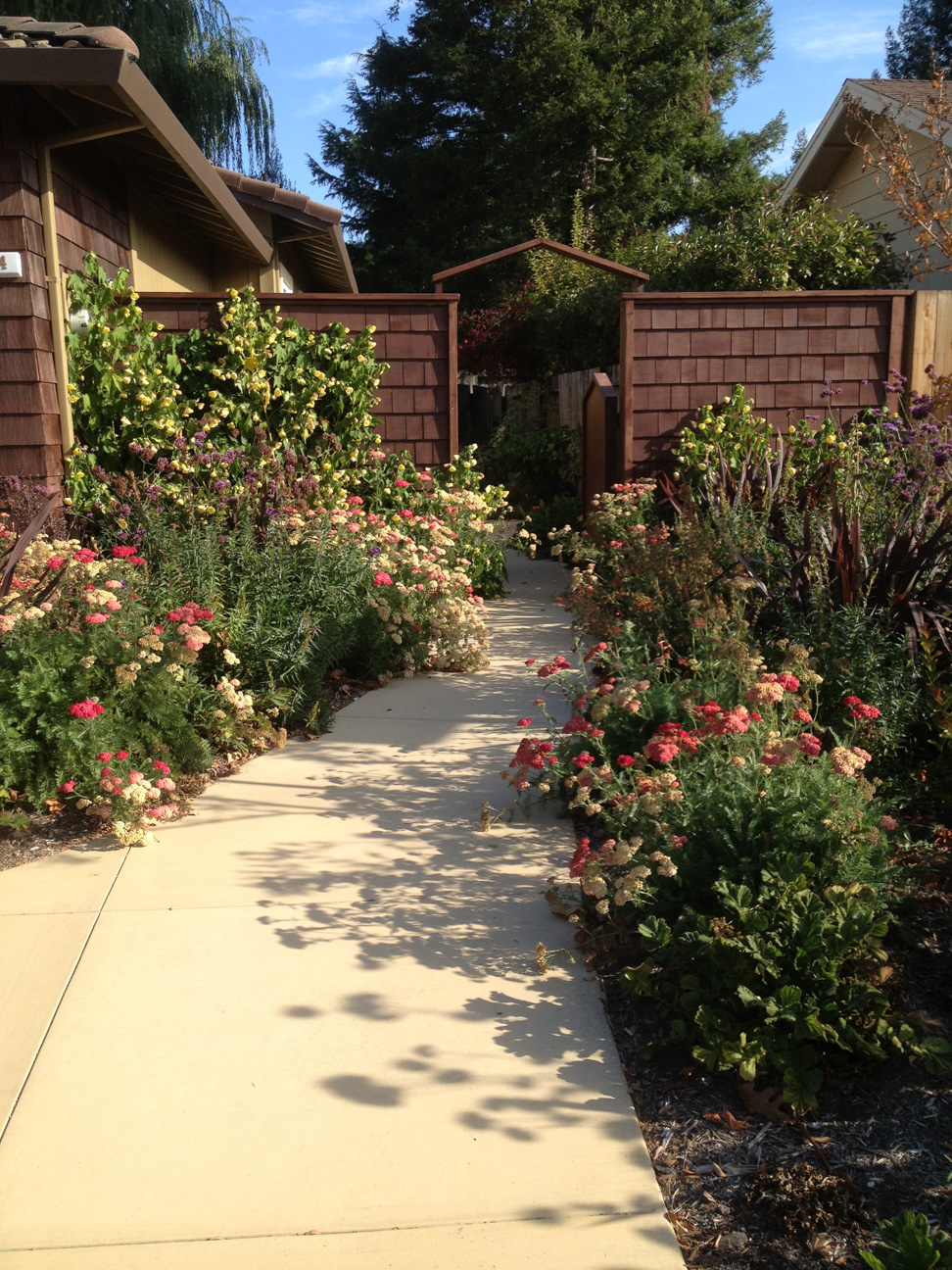 Garden for Retirement - Greenspace Landscape Design in Sonoma County