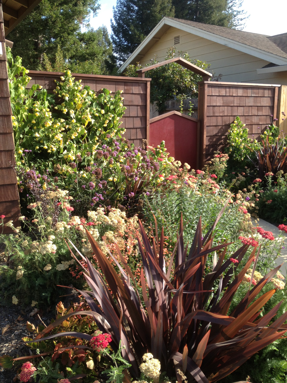 Garden for Retirement - Greenspace Landscape Design in Sonoma County